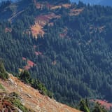 White Pass Pilot Ridge Loop Trail, Washington - 95 Reviews, Map | AllTrails