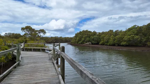 Best Paddle Sports Trails in Moreton Bay Marine Park | AllTrails