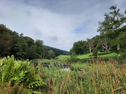 Best Camping Trails in Cranborne Chase and West Wiltshire Downs ...