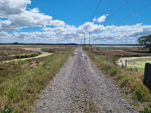 Best Hikes and Trails in Hunter Wetlands National Park | AllTrails