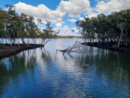 Best Hikes and Trails in Hunter Wetlands National Park | AllTrails
