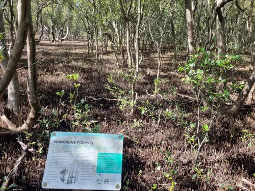 Best Hikes and Trails in Hunter Wetlands National Park | AllTrails