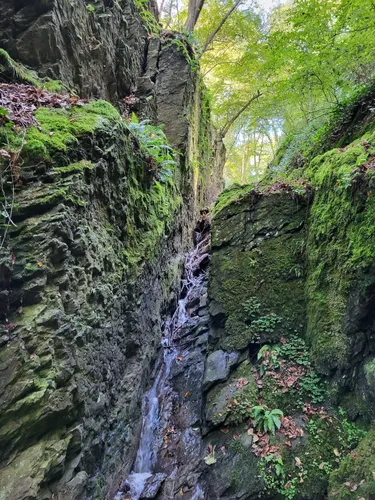 2023 Best Camping Trails in Bad Ems | AllTrails