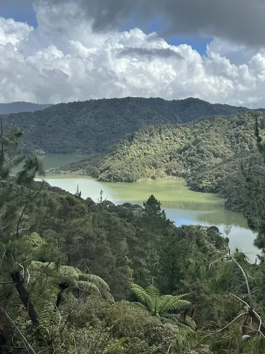 10 Best Hikes and Trails in Hunua Ranges Regional Park | AllTrails