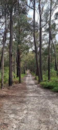 Best Hikes and Trails in Moondarra State Park | AllTrails