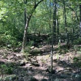 Hideout Hollow Trail, Arkansas - 545 Reviews, Map | AllTrails