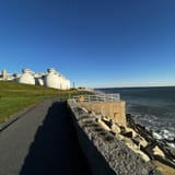 Deer Island Trail, Massachusetts - 648 Reviews, Map | AllTrails