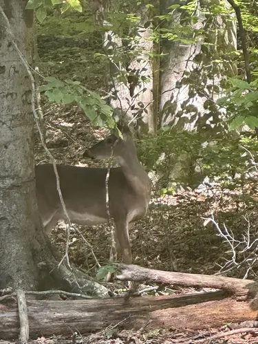 Best Hikes and Trails in Wilson Park | AllTrails