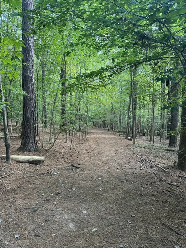 Best Hikes and Trails in Wilson Park | AllTrails