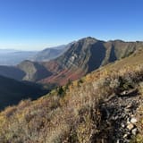 Provo Peak Trail, Utah - 171 Reviews, Map | AllTrails