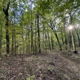 Low Gap Trail , Indiana - 1,232 Reviews, Map | AllTrails