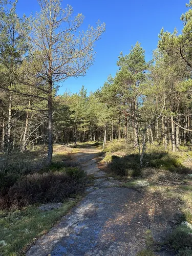 Best River Trails in Bohus | AllTrails