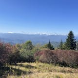 Andrews Bald Trail, North Carolina - 2,325 Reviews, Map | AllTrails