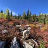 Fault Lake, Idaho - 268 Reviews, Map | AllTrails