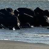 Morris Island Lighthouse Trail, South Carolina - 153 Reviews, Map ...