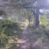 Richmond Park Circular, London, England - 53 Reviews, Map | AllTrails