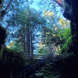 Ape Cave Trail, Washington - 1,501 Reviews, Map | AllTrails