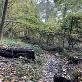 Shaupeneak Ridge Trail, New York - 432 Reviews, Map | AllTrails