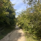 Wendover Woods Circular, Buckinghamshire, England - 170 Reviews, Map ...