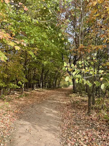 Best Hikes and Trails in High Cliff State Park | AllTrails