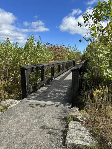 10 Best Hikes and Trails in Mount Agamenticus Conservation Region ...