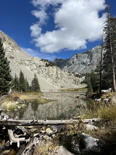 Best River Trails in Alamosa | AllTrails