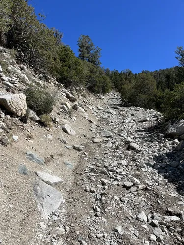 Best River Trails in Alamosa | AllTrails