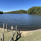 Lake Pine Loop, North Carolina - 1,171 Reviews, Map | AllTrails