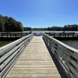 Lake Pine Loop, North Carolina - 1,171 Reviews, Map | AllTrails