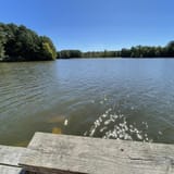 Lake Pine Loop, North Carolina - 1,171 Reviews, Map | AllTrails