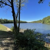 Lake Pine Loop, North Carolina - 1,171 Reviews, Map | AllTrails