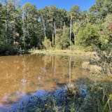 Lake Pine Loop, North Carolina - 1,171 Reviews, Map | AllTrails
