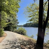 Lake Pine Loop, North Carolina - 1,171 Reviews, Map | AllTrails
