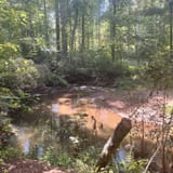 Big Berea Trail, Bull Creek Trail, and White Pine Loop, North Carolina ...