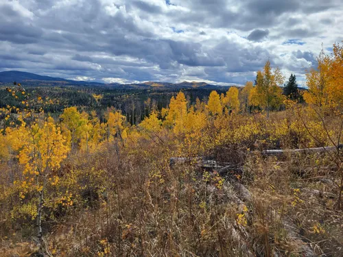 Best Backpacking Trails in Clark | AllTrails