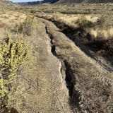 Snake River and Swan Falls- Wees Bar Petroglyphs Trail, Idaho - 199 ...