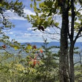 Kennedy Peak Loop, Virginia - 571 Reviews, Map | AllTrails