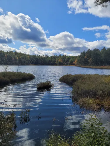 Best Hikes and Trails in Greenfield State Park | AllTrails