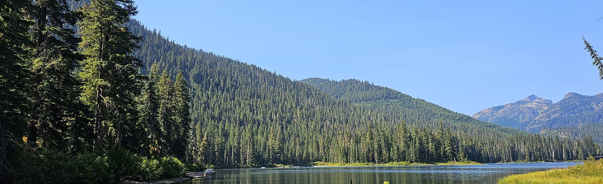 Cooper River Trail, Washington - 311 Reviews, Map | AllTrails