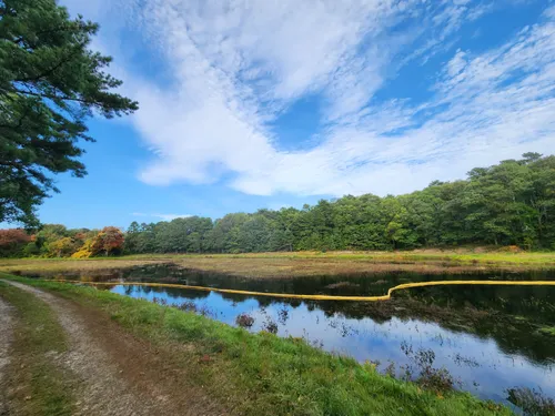 Best Hikes and Trails in Red Brook Pond Conservation Area | AllTrails
