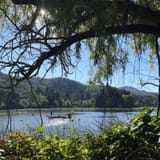 Spring Lake Loop, California - 1,444 Reviews, Map | AllTrails