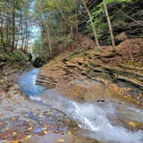Lake Treman Loop via Gorge, Bear, and Rim Trail, New York - 1,531 ...