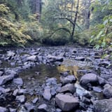 South Falls and Maple Ridge Loop, Oregon - 1,832 Reviews, Map | AllTrails