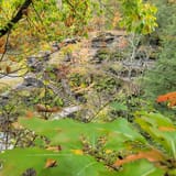Lake Treman Loop via Gorge, Bear, and Rim Trail, New York - 1,531 ...