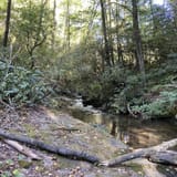 Upper Chattahoochee Campground to Horse Trough Falls, Georgia - 114 ...