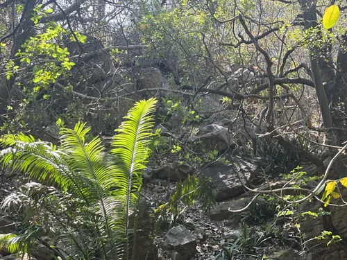 Best Waterfall Trails in Pretoria | AllTrails