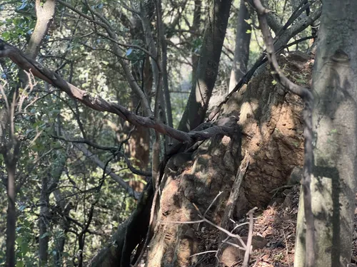 Best Waterfall Trails in Pretoria | AllTrails