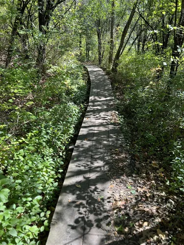 Best Hikes and Trails in Lower Purgatory Creek Conservation Area ...