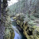 Silver Falls Loop, Washington - 2,822 Reviews, Map | AllTrails