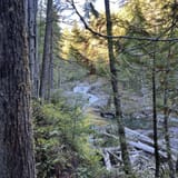 Silver Falls Loop, Washington - 2,822 Reviews, Map | AllTrails